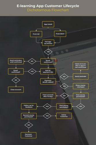 What Is a Dichotomous Key & How to Create One
