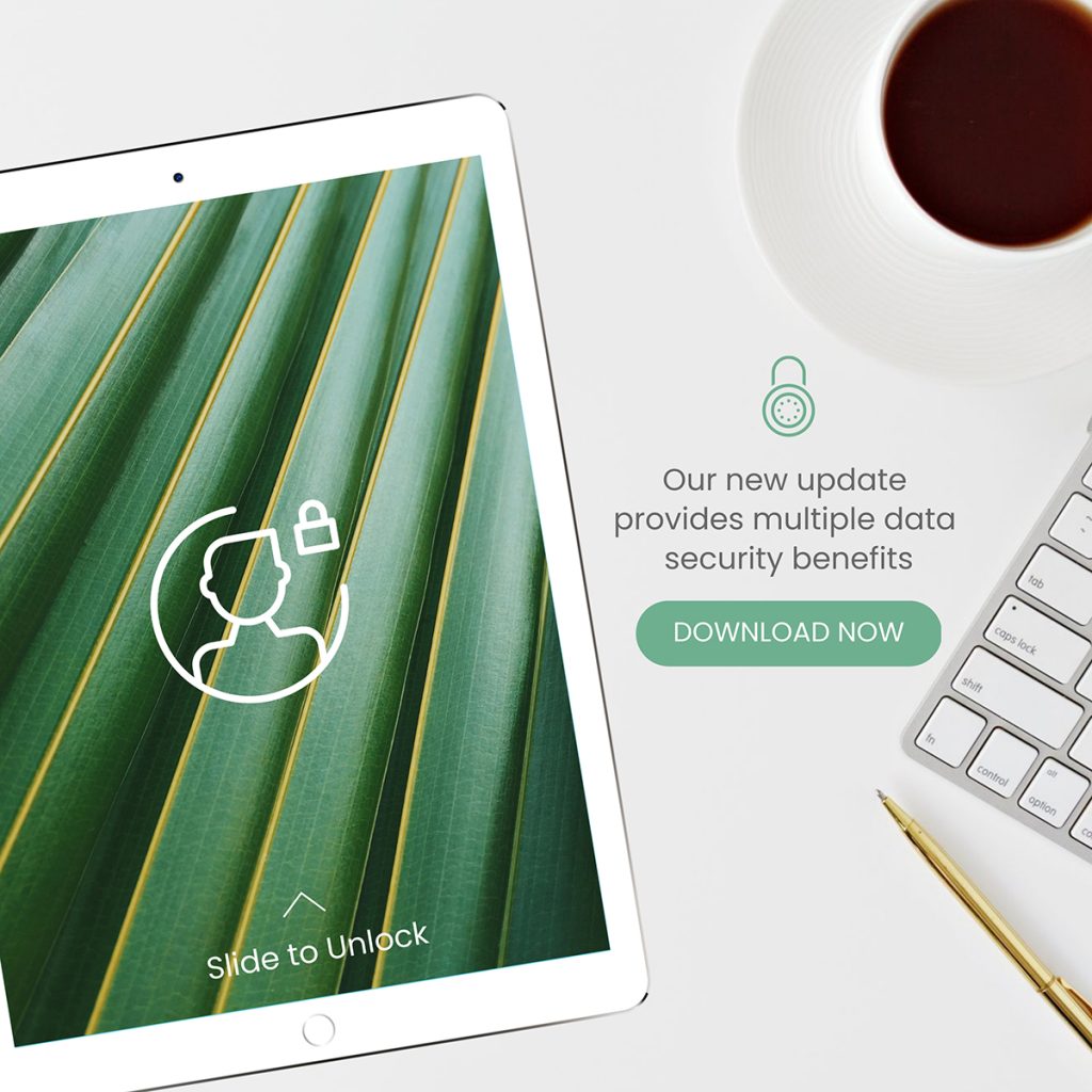 What Is a Mockup & Why Do You Need One
