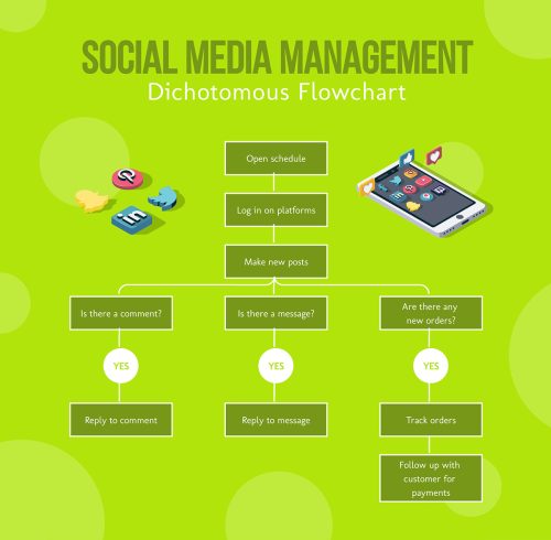 What Is a Dichotomous Key & How to Create One
