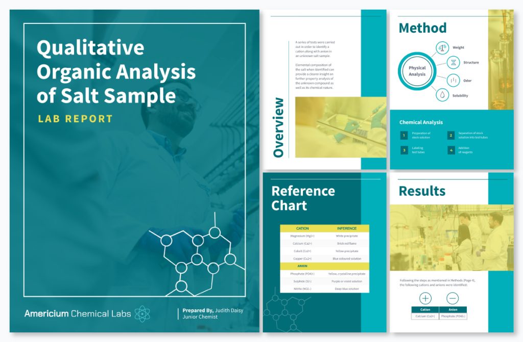 14 Types of Reports and When to Use Them (+ Templates)