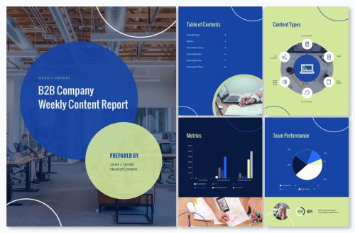 14 Types of Reports and When to Use Them (+ Templates)