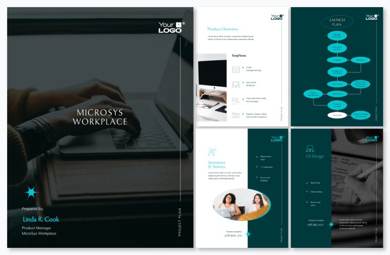 How Visme Can Help You Better Manage Projects