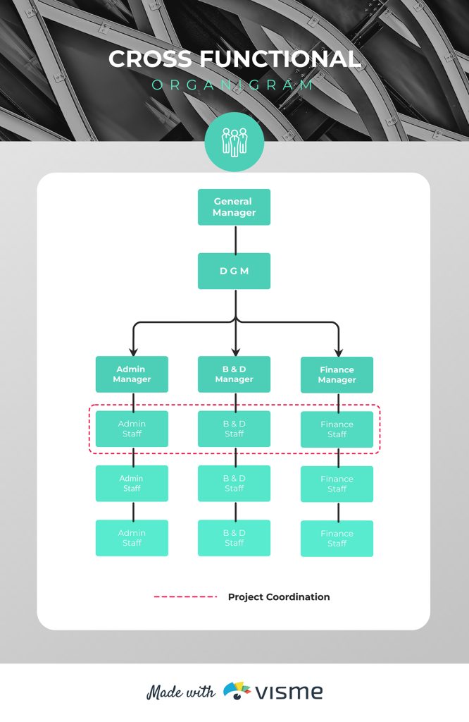 20 Organizational Chart Examples for Small Businesses