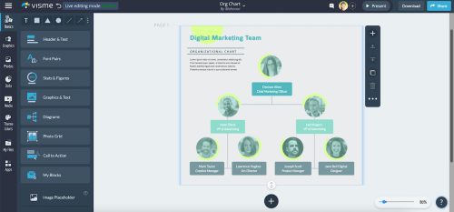20 Organizational Chart Examples for Small Businesses
