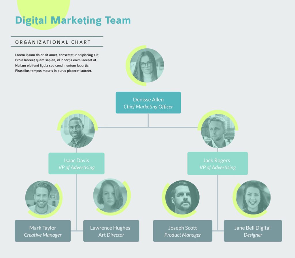 20 Organizational Chart Examples for Small Businesses