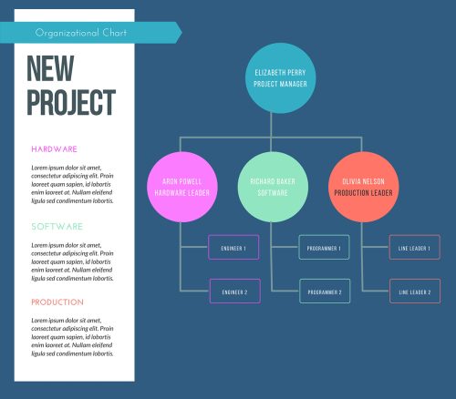 20 Organizational Chart Examples for Small Businesses
