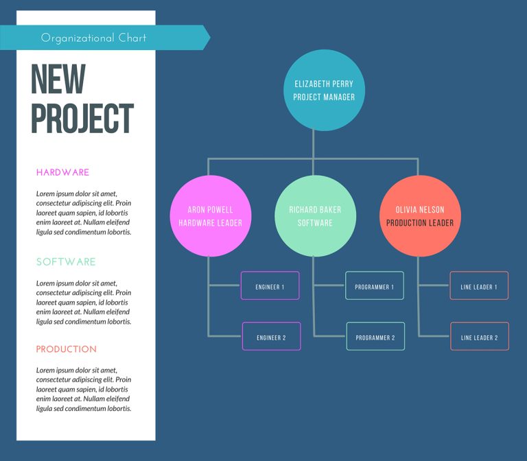 20 Organizational Chart Examples for Small Businesses