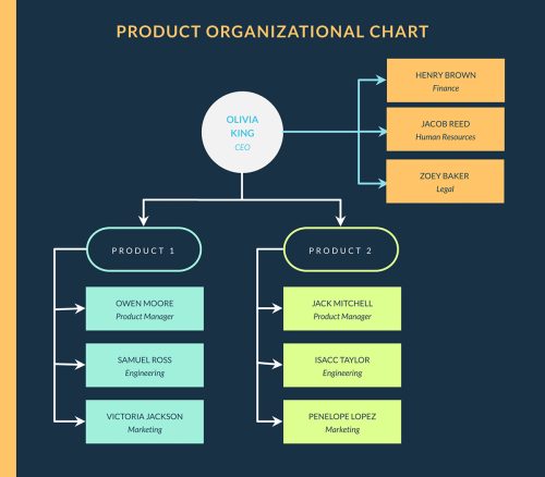 20 Organizational Chart Examples for Small Businesses