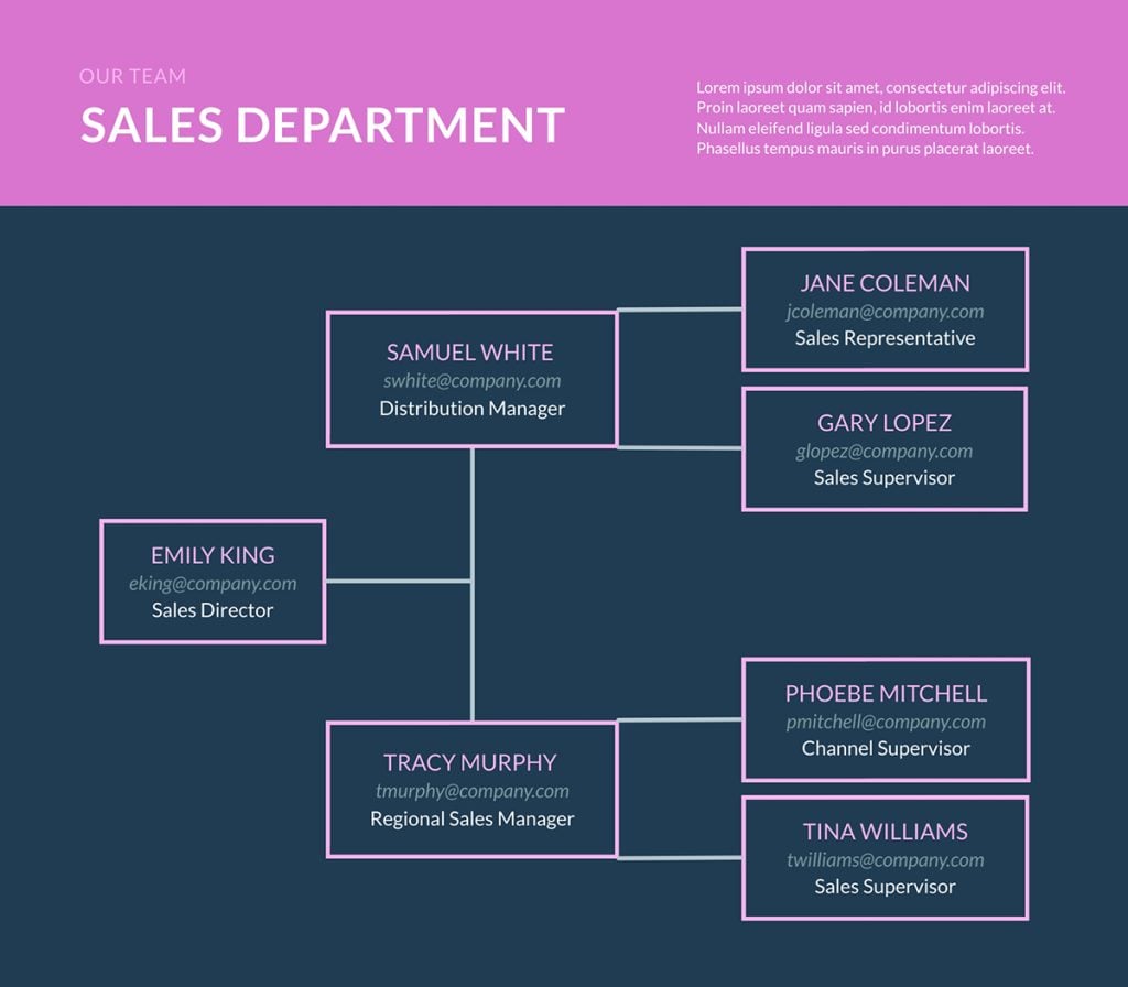 20 Organizational Chart Examples for Small Businesses