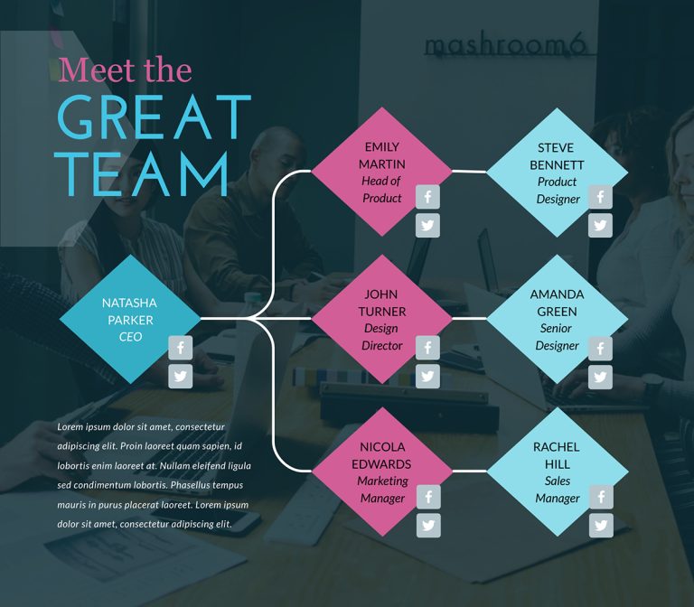 20 Organizational Chart Examples for Small Businesses