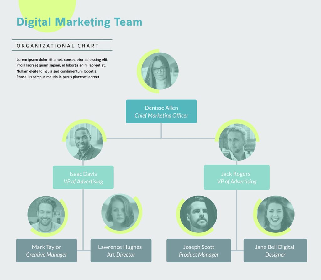 20 Organizational Chart Examples for Small Businesses