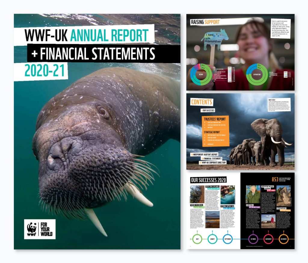 30+ Annual Report Design Templates & Awesome Examples