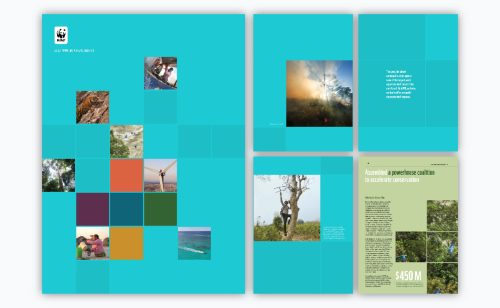 45+ Plantillas de informes anuales y ejemplos profesionales