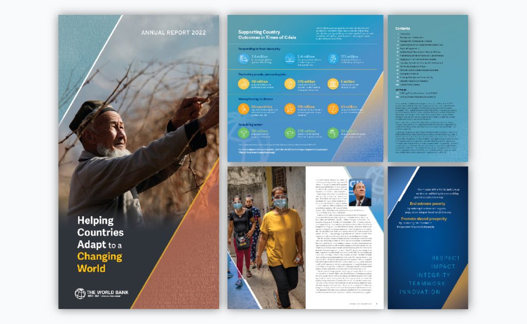 45+ Plantillas de informes anuales y ejemplos profesionales