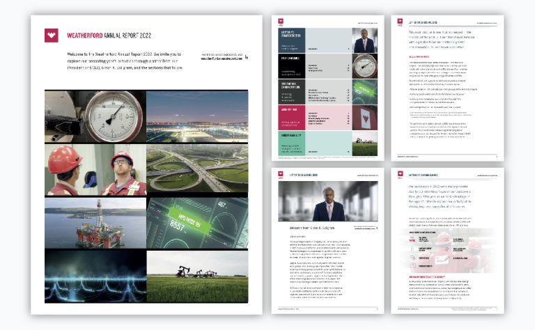 45+ Plantillas de informes anuales y ejemplos profesionales