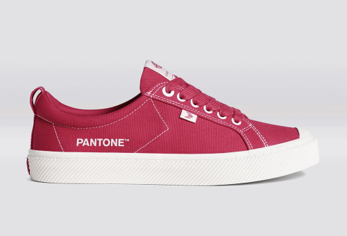 What Is the Pantone Color of the Year and Why Is It Important?