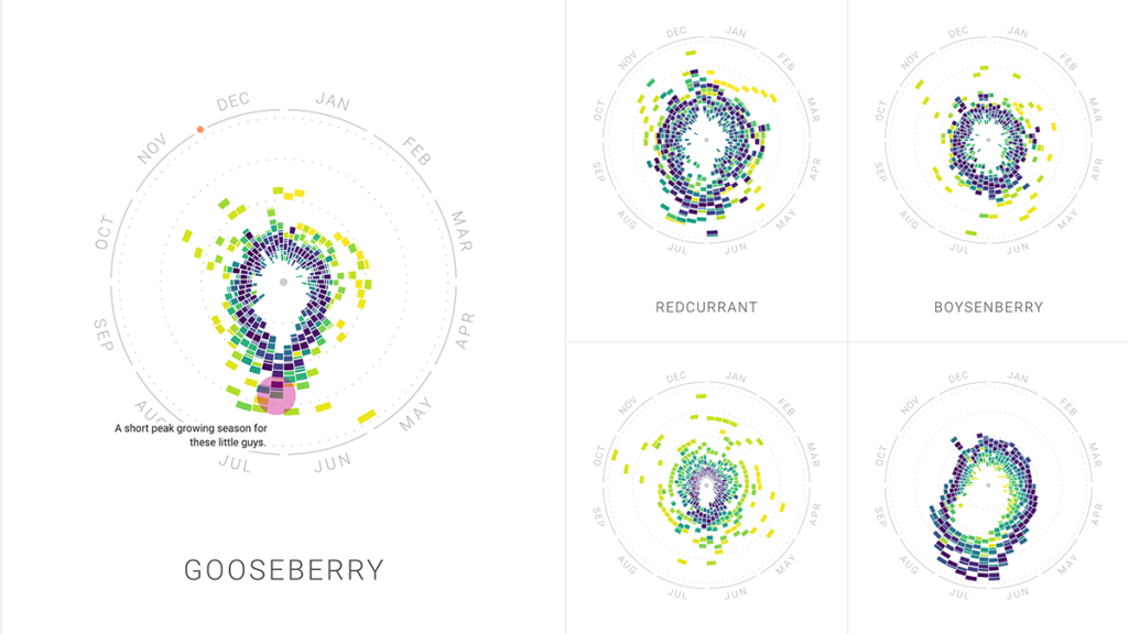 What is a Radar Chart? A Complete Guide + 10 Radar Chart Templates