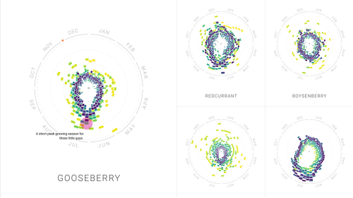 What is a Radar Chart? A Complete Guide + 10 Radar Chart Templates