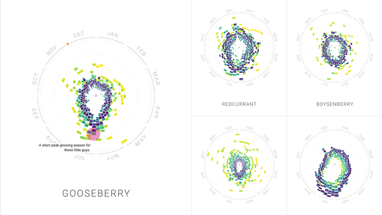 What is a Radar Chart? A Complete Guide + 10 Radar Chart Templates