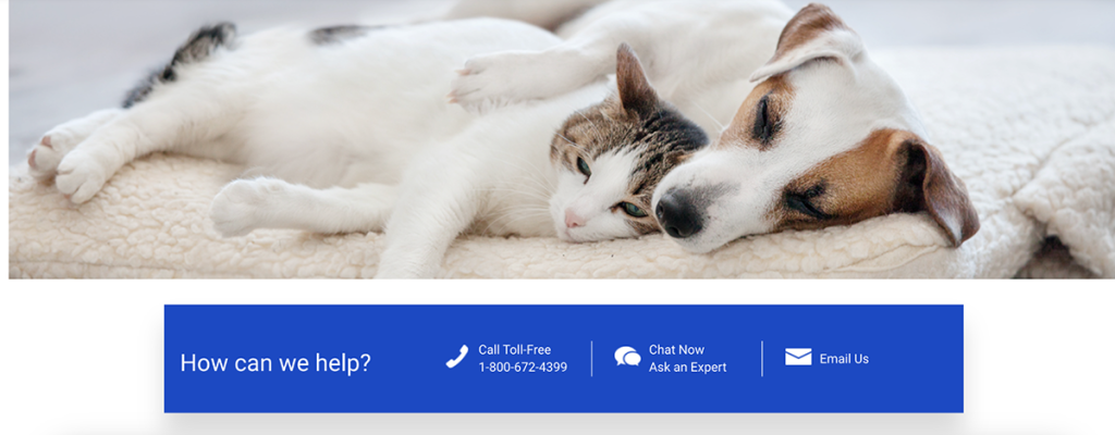 14 Contact Us Page Examples & Best Practices to Use
