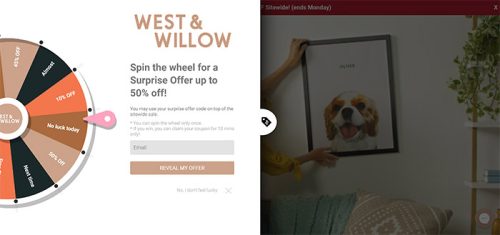 11 Opt-in Form Examples, Templates & Tips to Grow Your Email List