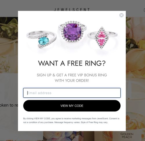 16 Best Exit Intent Popup Examples to Learn From