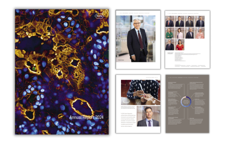 30+ Annual Report Design Examples & Templates (2025)