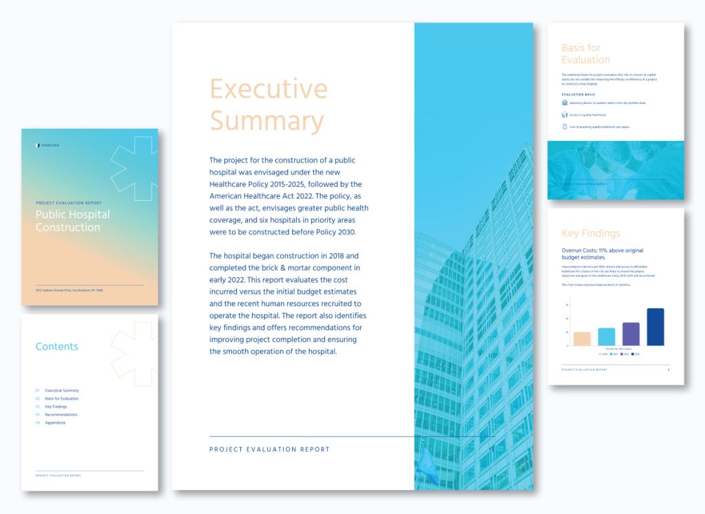 12 Must-Have Executive Summary Templates | Visme