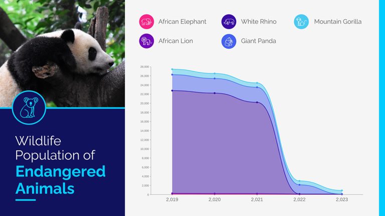 A Data Presentation Guide: Types, Real-Life Examples & How-To