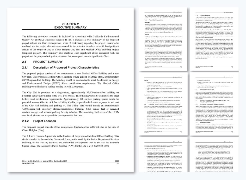 Executive Summary Examples: How To Write, Format & Design