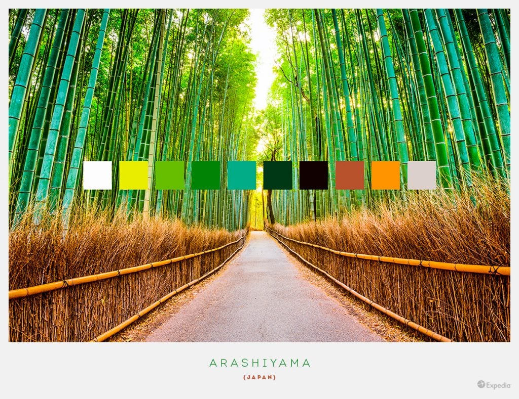 10 Paletas de color basadas en los colores de la naturaleza