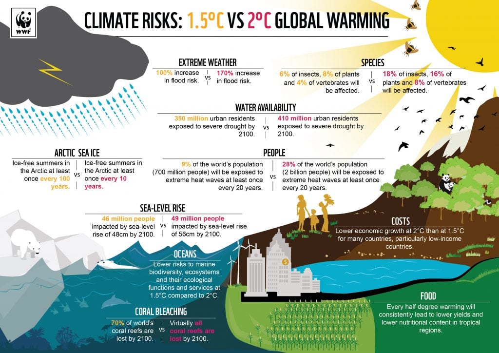 The Best Visualizations on Climate Change Facts