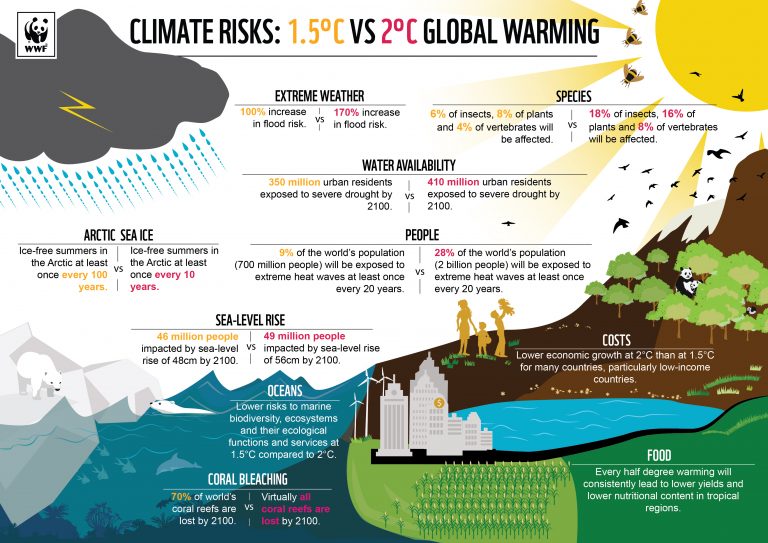 The Best Visualizations on Climate Change Facts