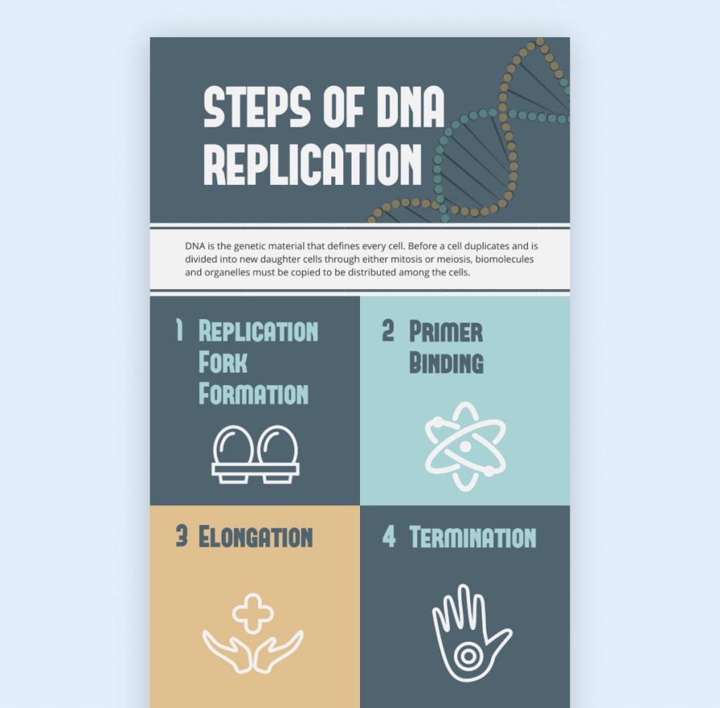 6 Infographic Best Practices for Creating Jaw-Dropping Infographics