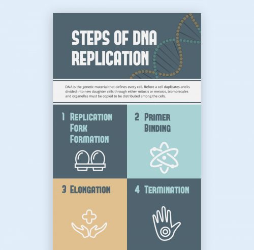 6 Infographic Best Practices for Creating Jaw-Dropping Infographics