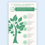 6 Infographic Best Practices for Creating Jaw-Dropping Infographics