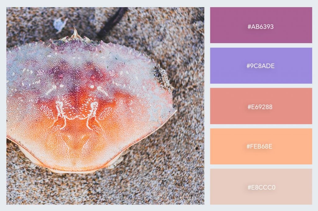 How to Use Pastel Colors in Your Designs [+15 Delicious Pastel Color ...