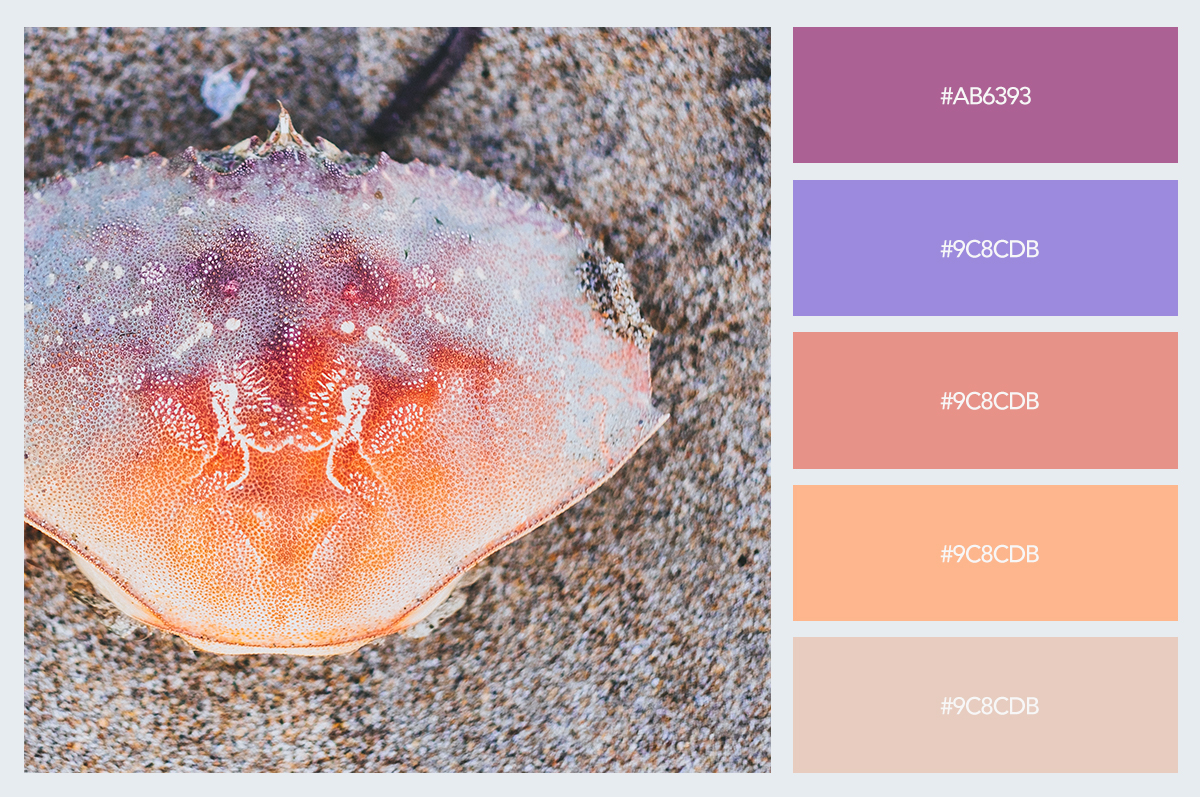 How To Use Pastel Colors In Your Designs 15 Delicious Pastel Color
